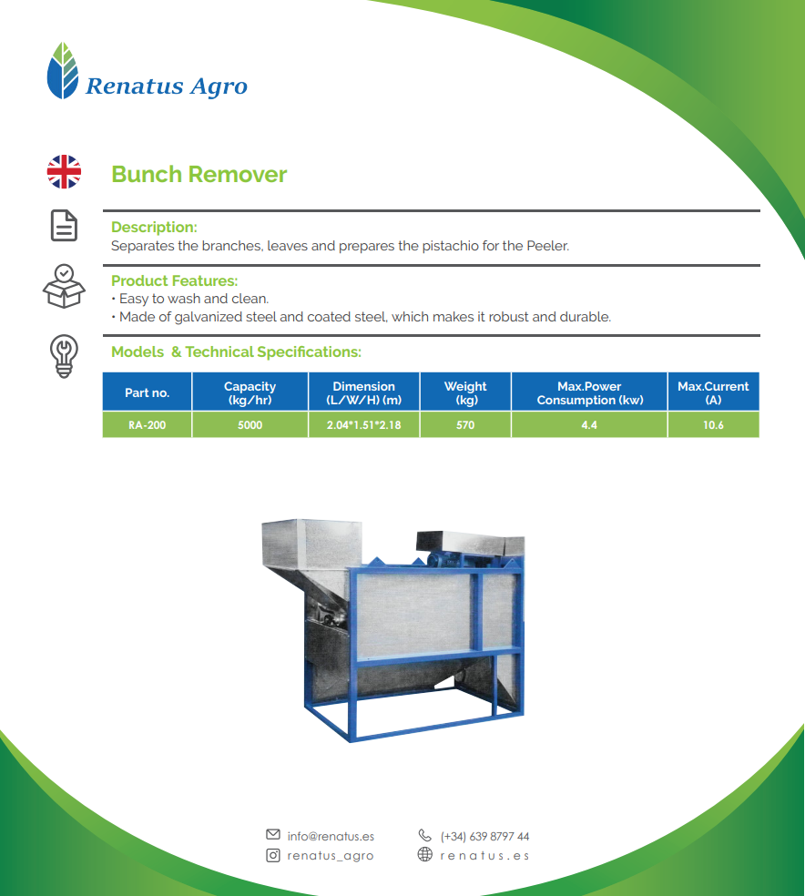 Processing – renatus